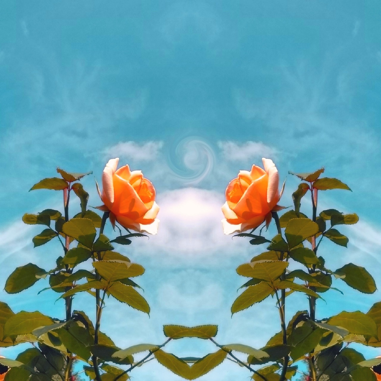 Photo editing tips for beginners - Picture Editor Blog