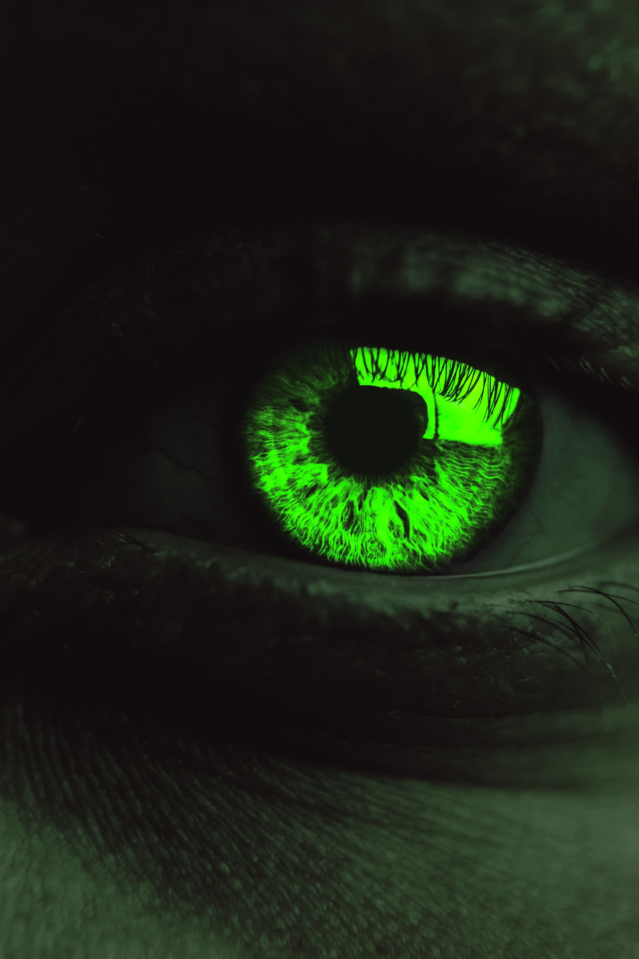 Lens Terms That You Should Know!- Pictureeditor.com