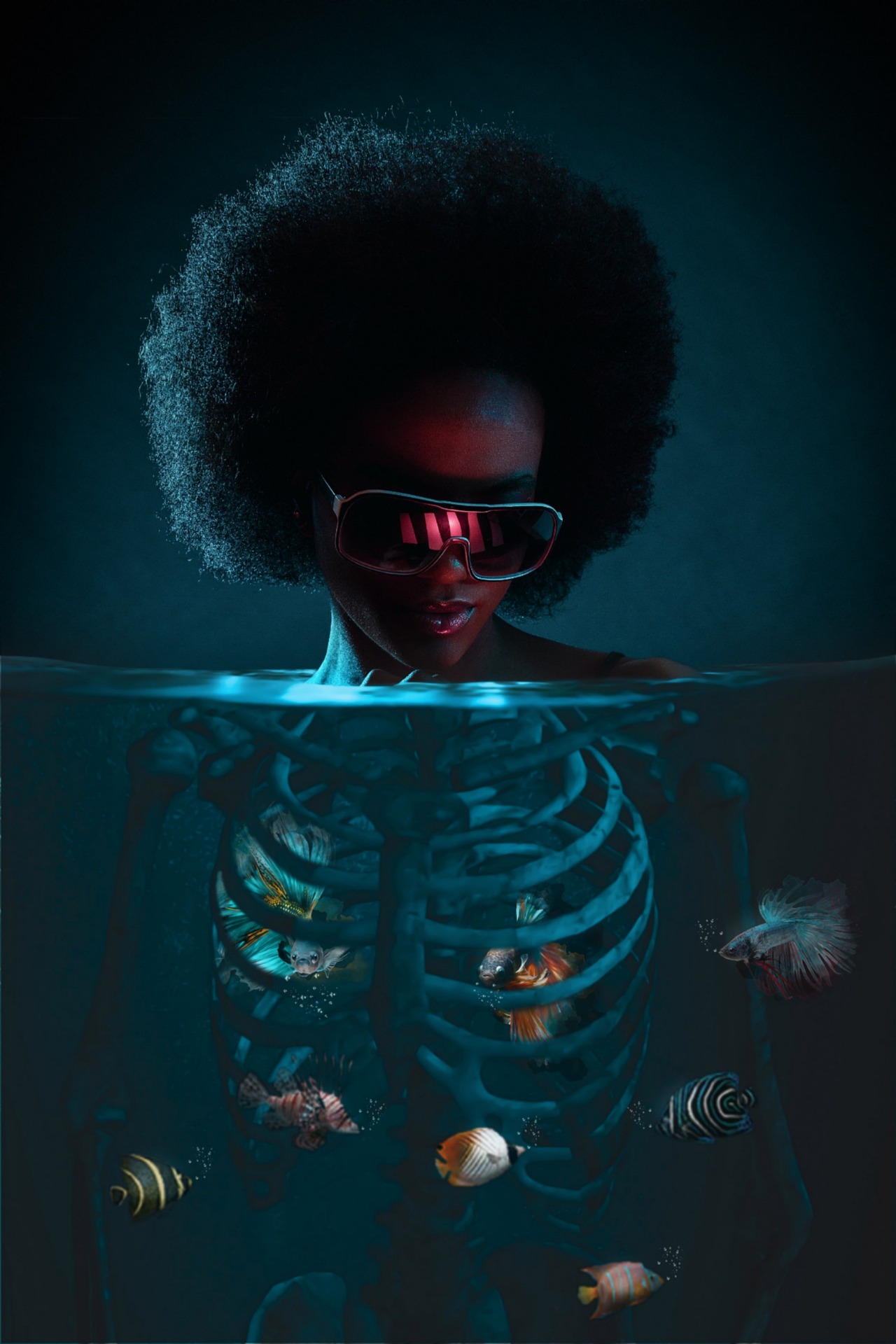 Trigraphy Art Photo Editor App - Review- Pictureeditor.com