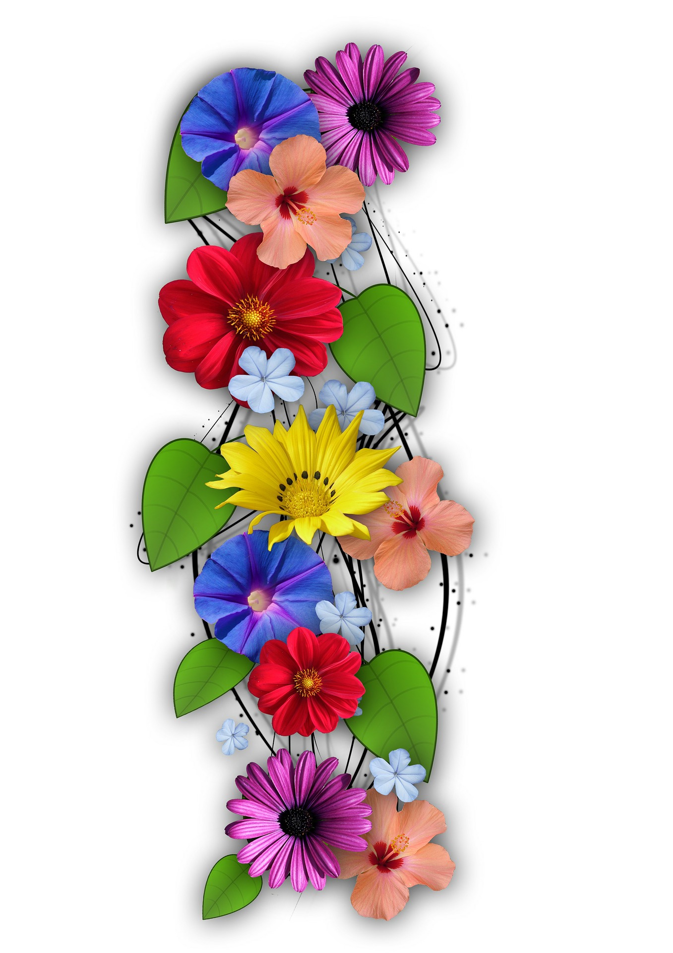 Important Graphic Design Software for Beginners- Pictureeditor.com