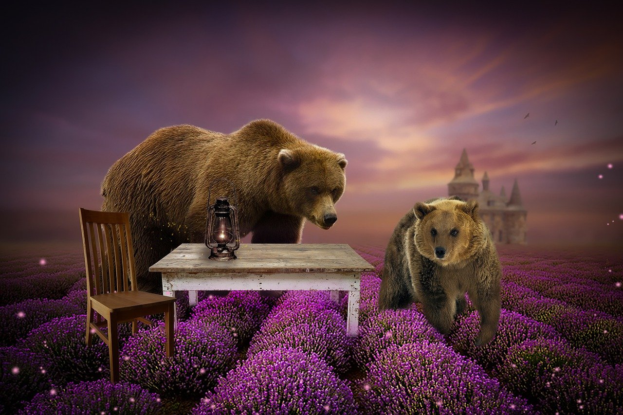 How to Choose Photo Editing Software- Pictureeditor.com