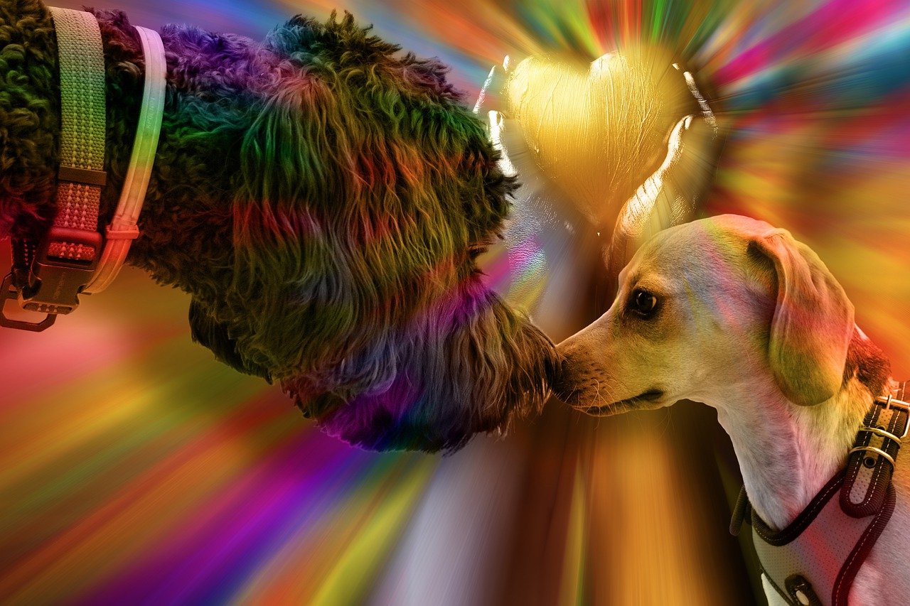 THE IMPORTANCE OF EDITING A PICTURE- Pictureeditor.com