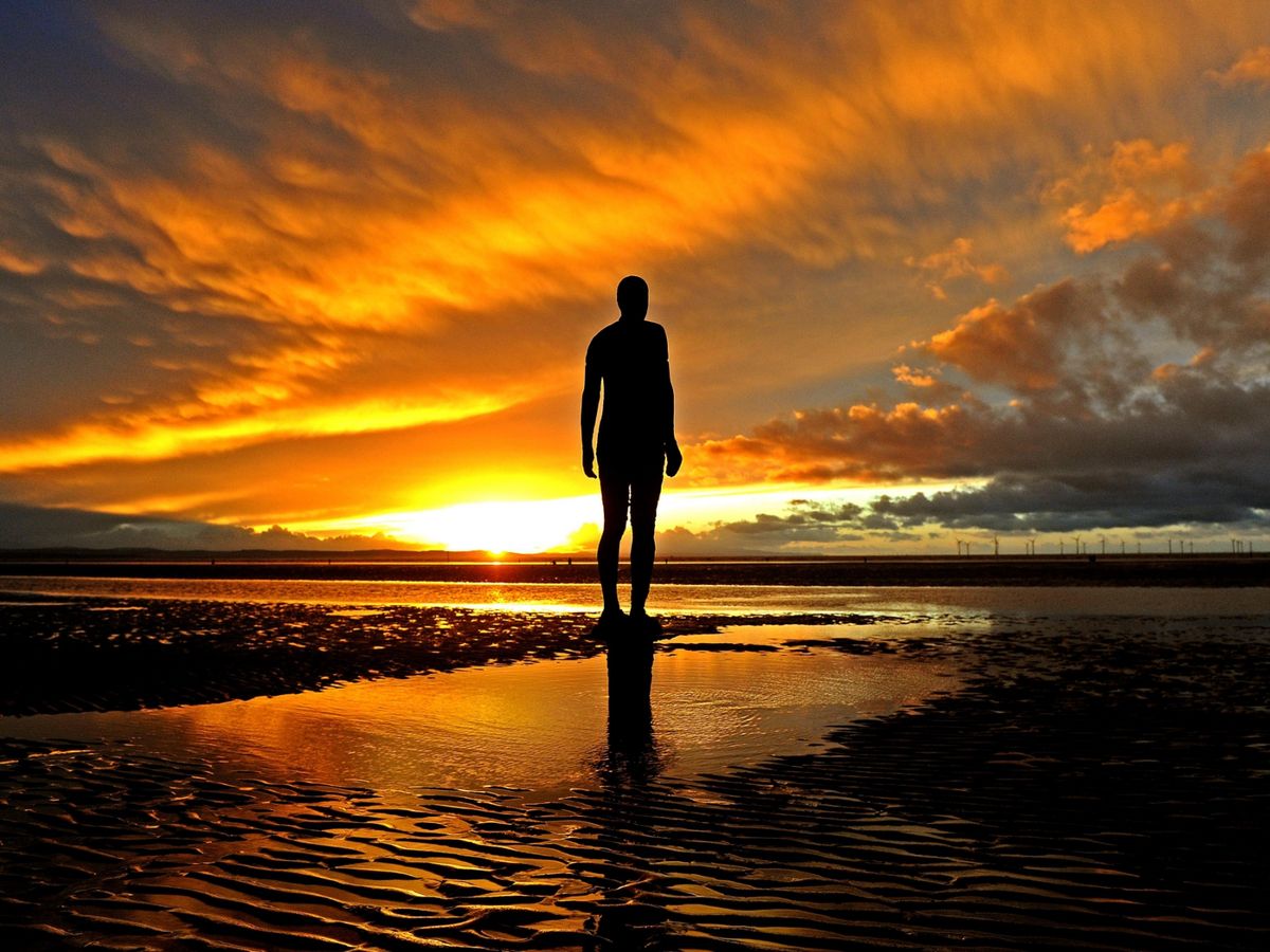 Easy iPhone Photography Tips - www.pictureeditor.com