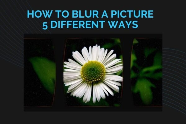 How To Blur Picture 5 Different Ways Archives Picture Editor