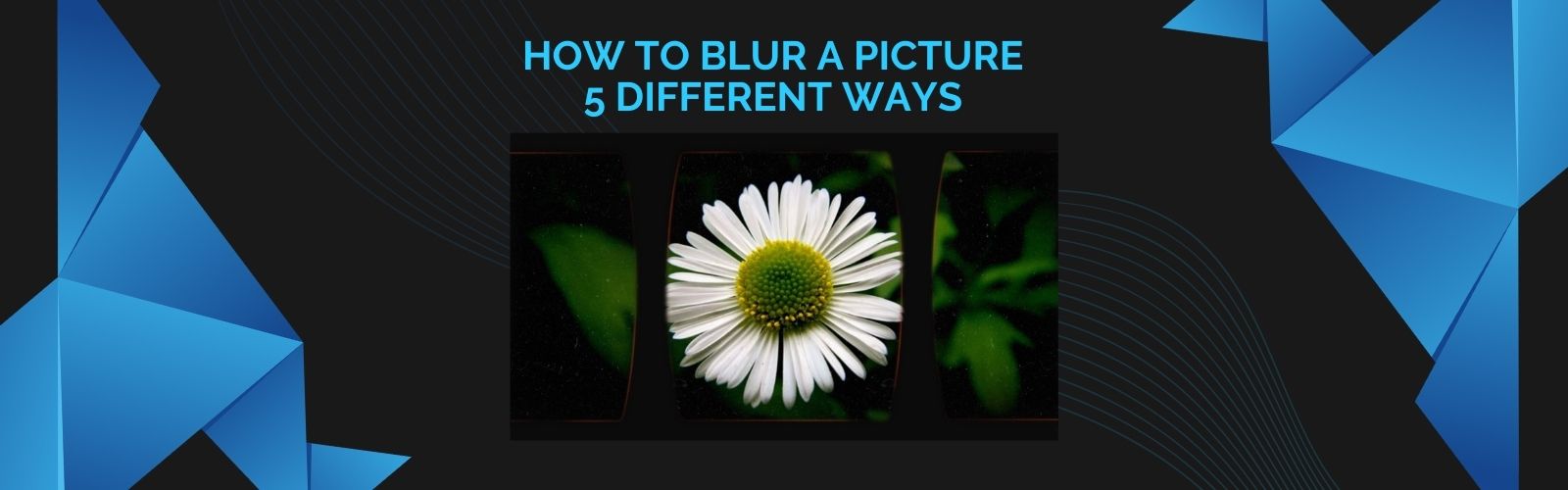 How to Blur a Picture 5 Different Ways - pictureeditor.com